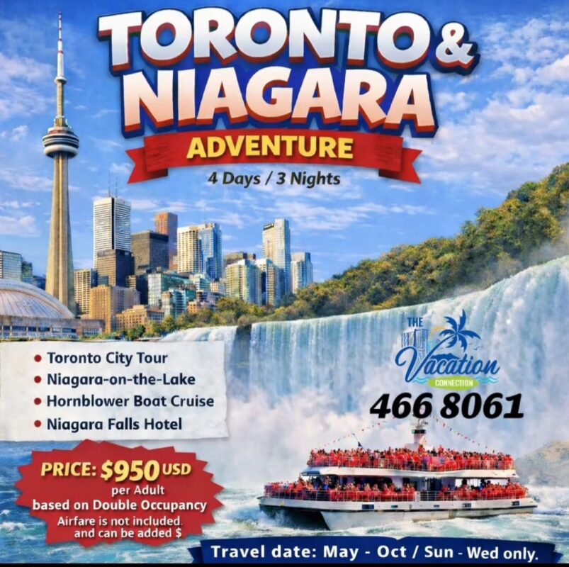 International Vacation | thevacationconnectiontt.om